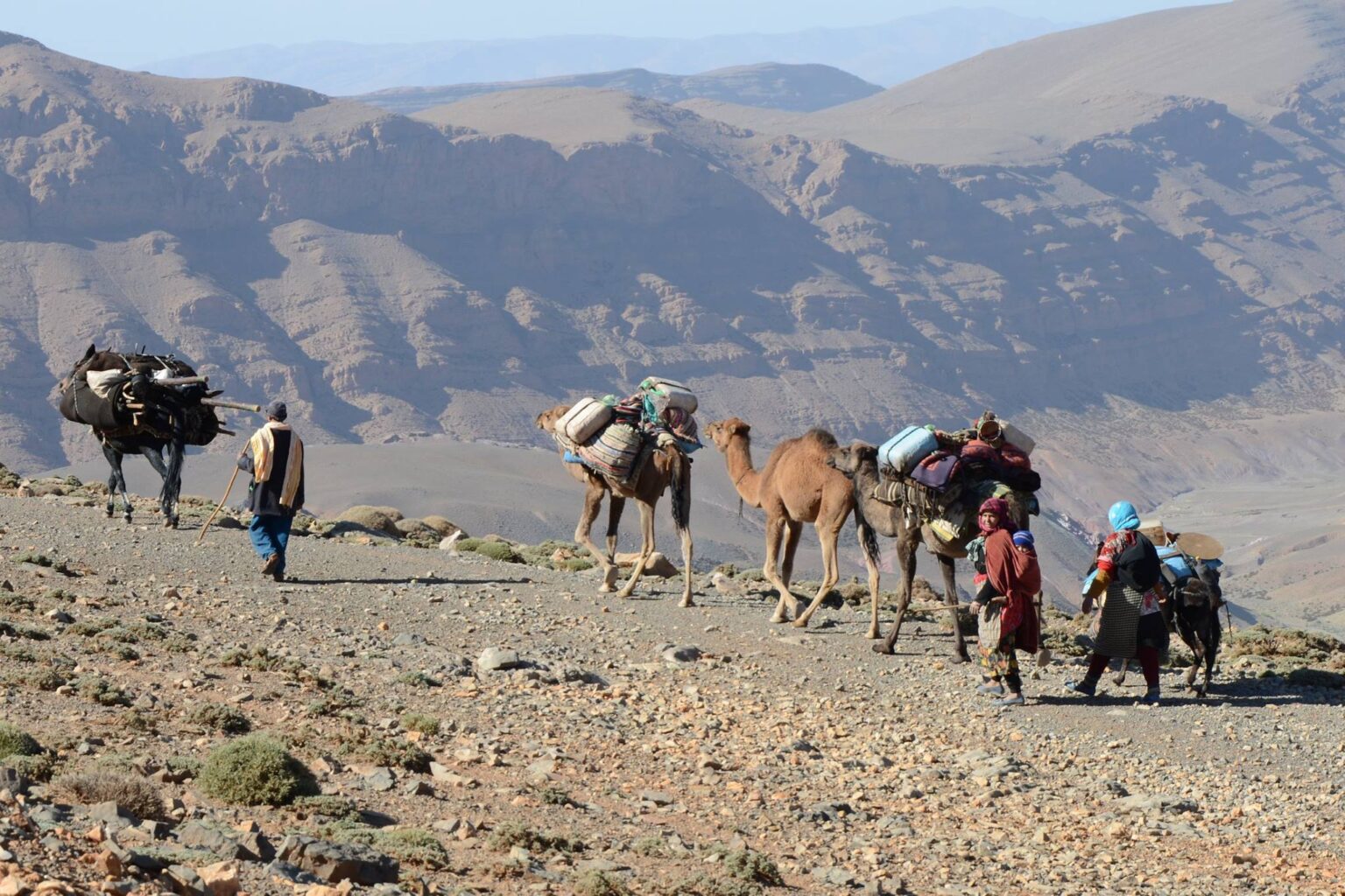 Home - Sustainable and eco-friendly tours in Morocco