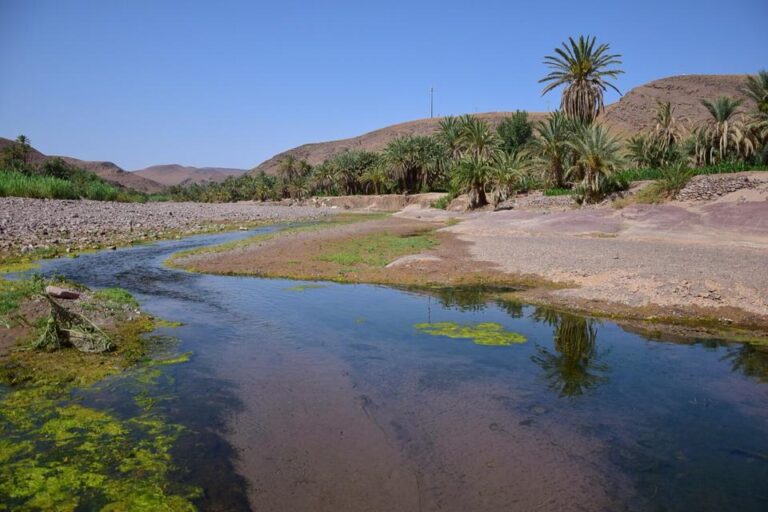Guide to Eco Tours in Morocco - Sustainable and eco-friendly tours in ...