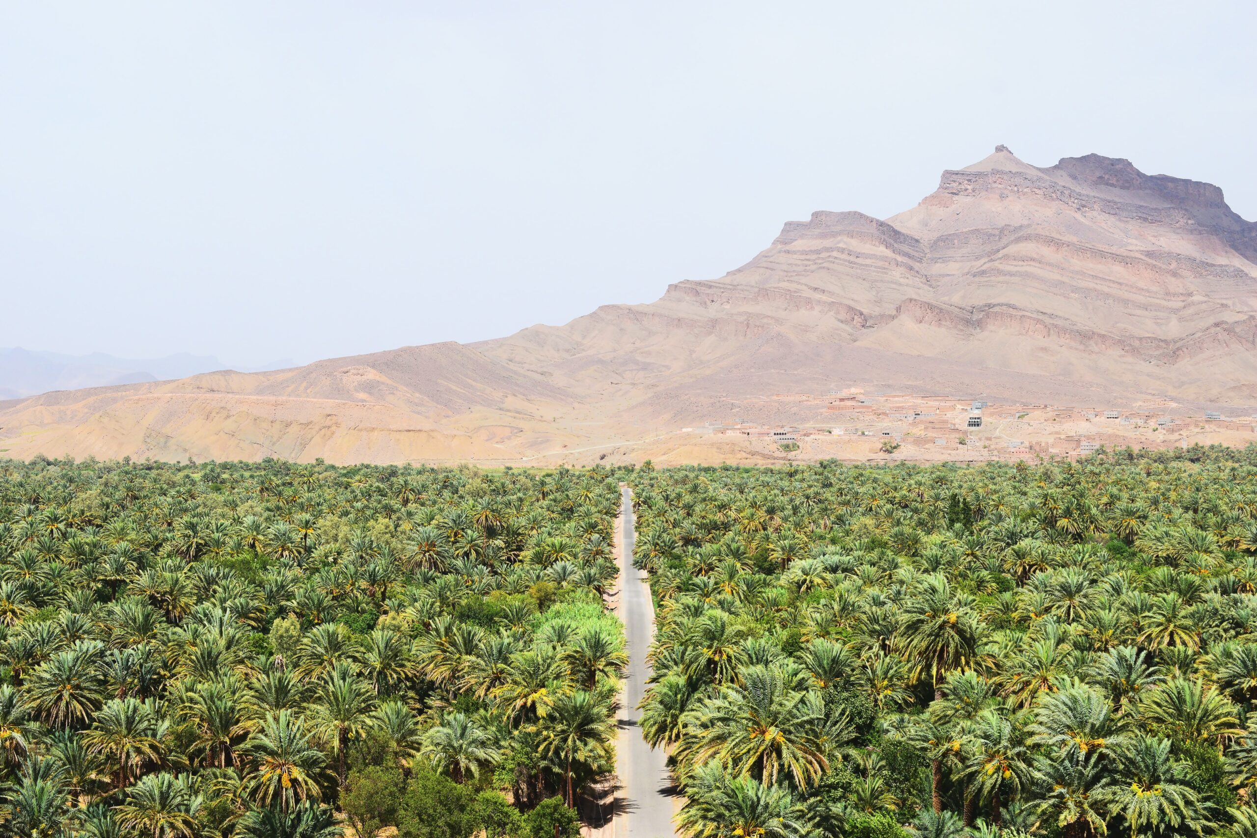 Draa Valley in Morocco - Sustainable and eco-friendly tours in Morocco